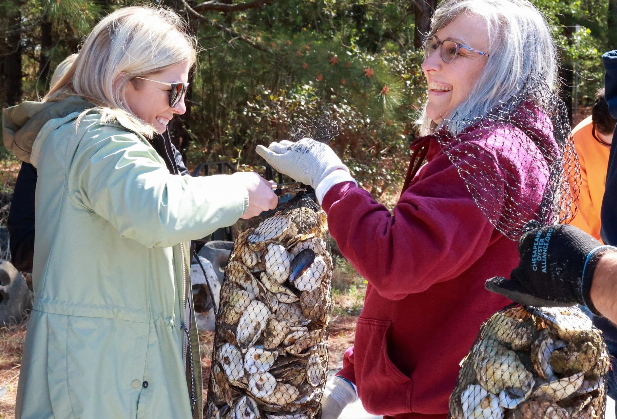 MEB Takes Part in Oyster Restoration Efforts with Chesapeake Bay ...